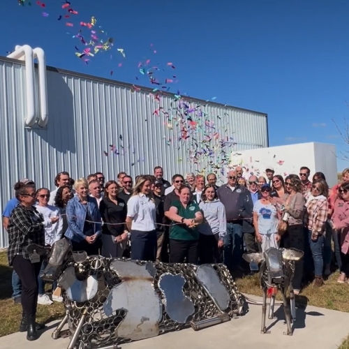 Buy Your Favorite Wisconsin Cheeses Online | Ellsworth Cooperative Creamery